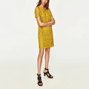 Zara | Dresses | Zara Contrast Lace Dress In Mustard Color | Poshmark
