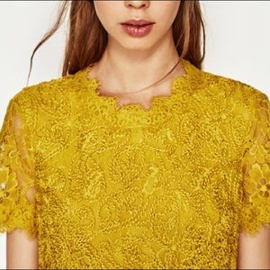 Zara | Dresses | Zara Contrast Lace Dress In Mustard Color | Poshmark