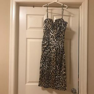 Cache | Dresses | Cach Dress | Poshmark