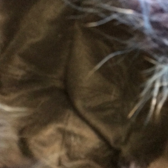 davie crocket | Accessories | Nwt Davie Crocket Raccoon Hat | Poshmark