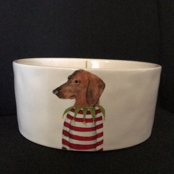 Other | Rae Dunn Holiday Dog Dish | Poshmark