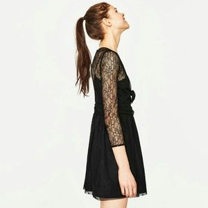 Zara | Dresses | Zara New Lace Bow Mini Dress | Poshmark