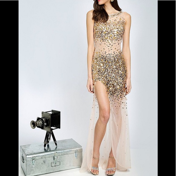 Cache | Dresses | Cache Sheer Gown W Embellishments | Poshmark